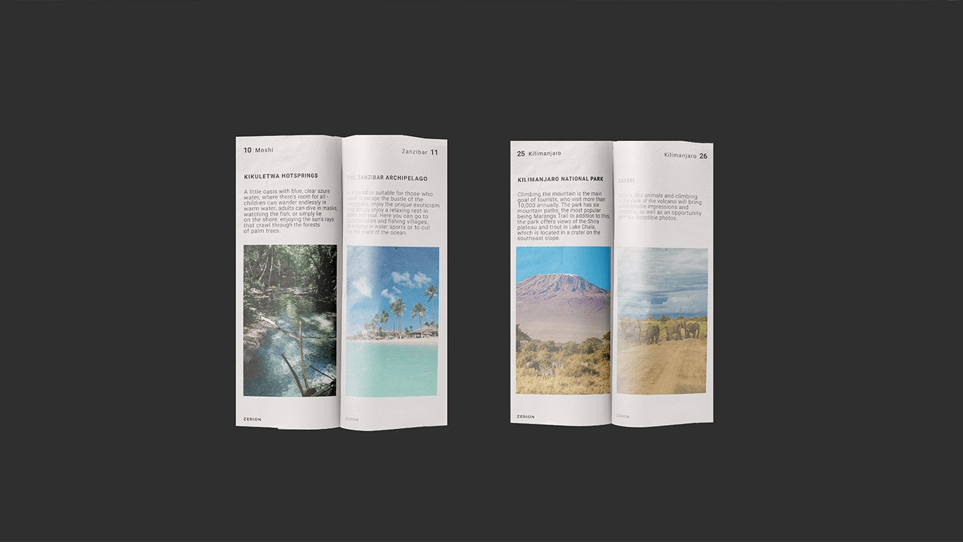 Zerion Tour Operator Business Card - World's No.1 Business Card Directory